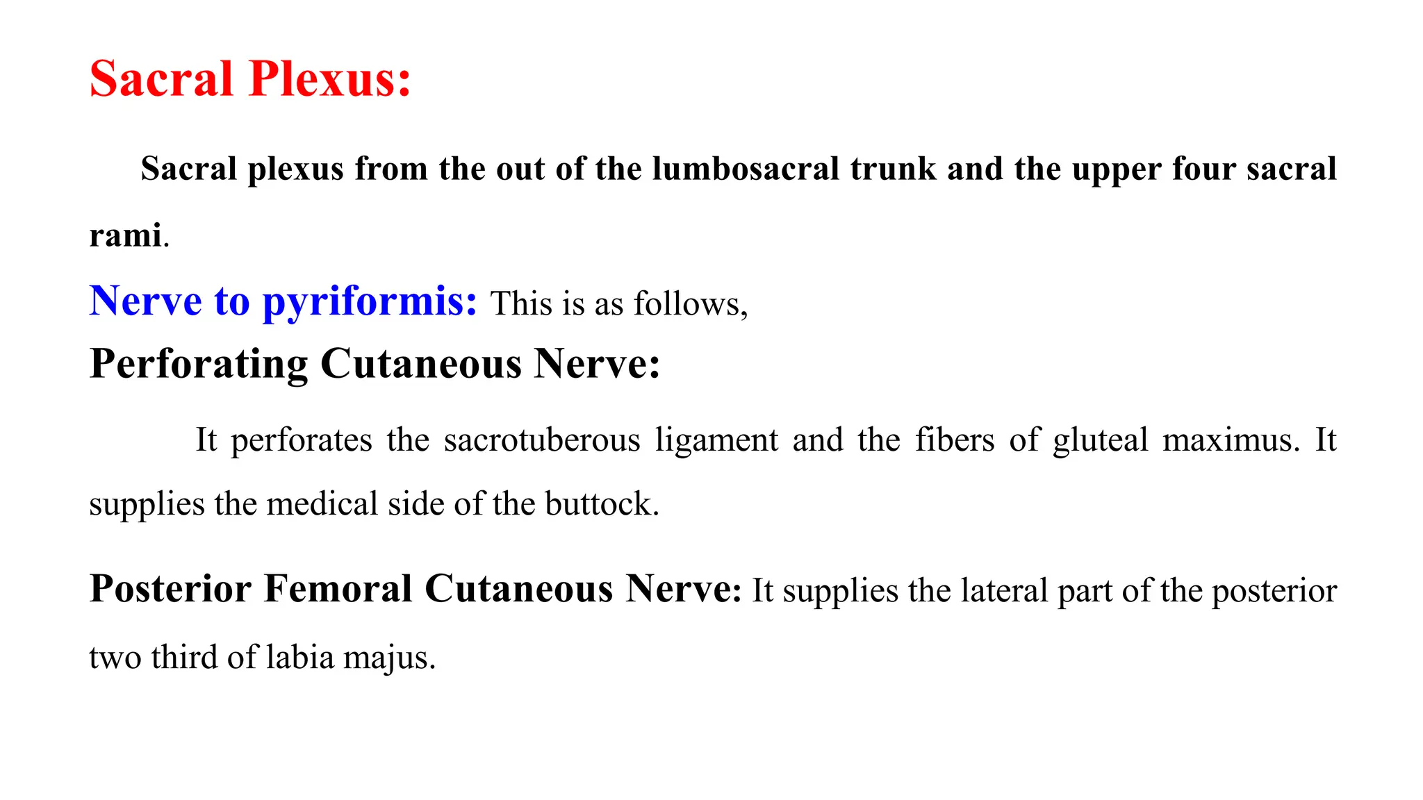 Anatomy of the pelvis- obstetrics and gynaecology | PPTX