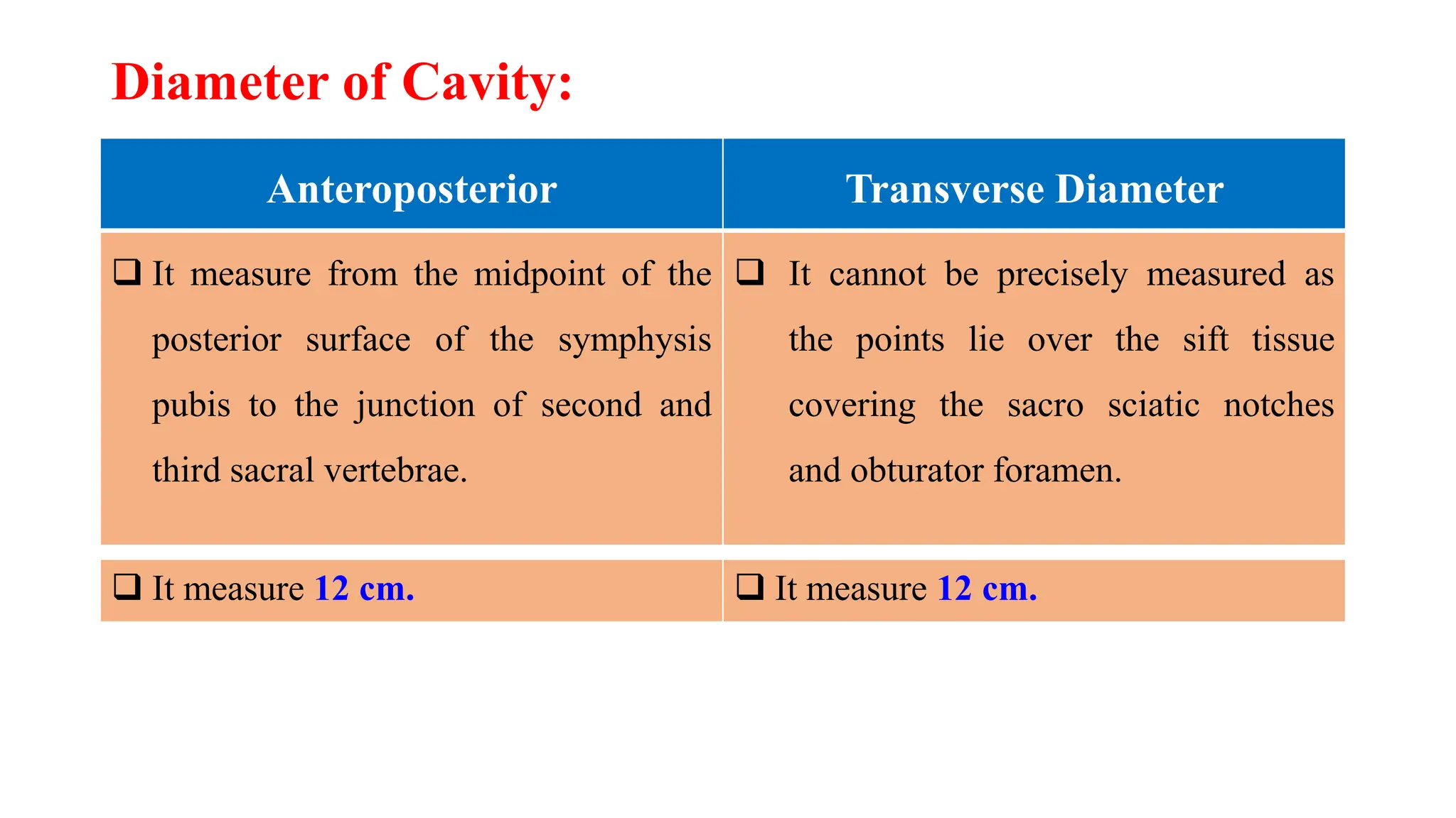 Anatomy of the pelvis- obstetrics and gynaecology | PPTX