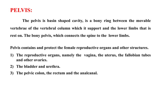 Anatomy of the pelvis- obstetrics and gynaecology | PPTX | Pregnancy ...