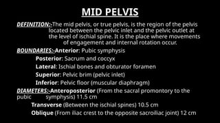 pelvis types (1).pptx[ASHISH) obs seminar | PPT