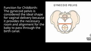 pelvis types (1).pptx[ASHISH) obs seminar | PPTX