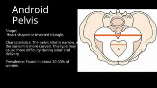 pelvis types (1).pptx[ASHISH) obs seminar | PPTX