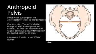 pelvis types (1).pptx[ASHISH) obs seminar | PPTX
