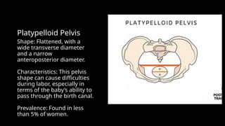 pelvis types (1).pptx[ASHISH) obs seminar | PPTX