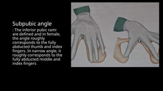 pelvis types (1).pptx[ASHISH) obs seminar | PPTX