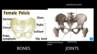 pelvis types (1).pptx[ASHISH) obs seminar | PPTX