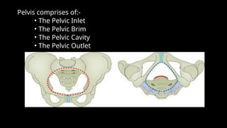 pelvis types (1).pptx[ASHISH) obs seminar | PPTX