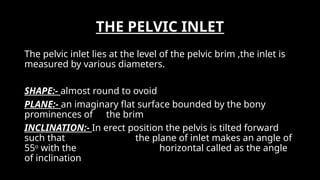 pelvis types (1).pptx[ASHISH) obs seminar | PPTX