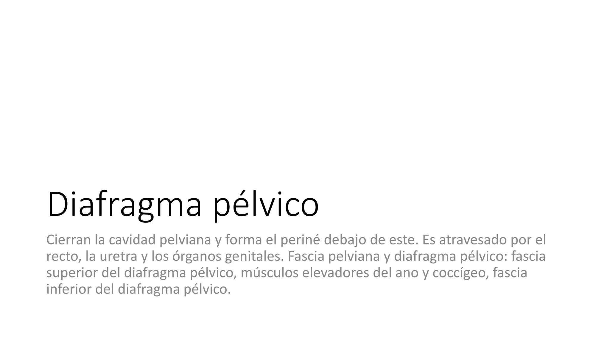 Pelvis y periné, estructura osea, musculos | PPT