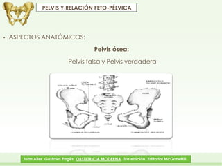 Pelvis y relación feto pélvica | PPTX