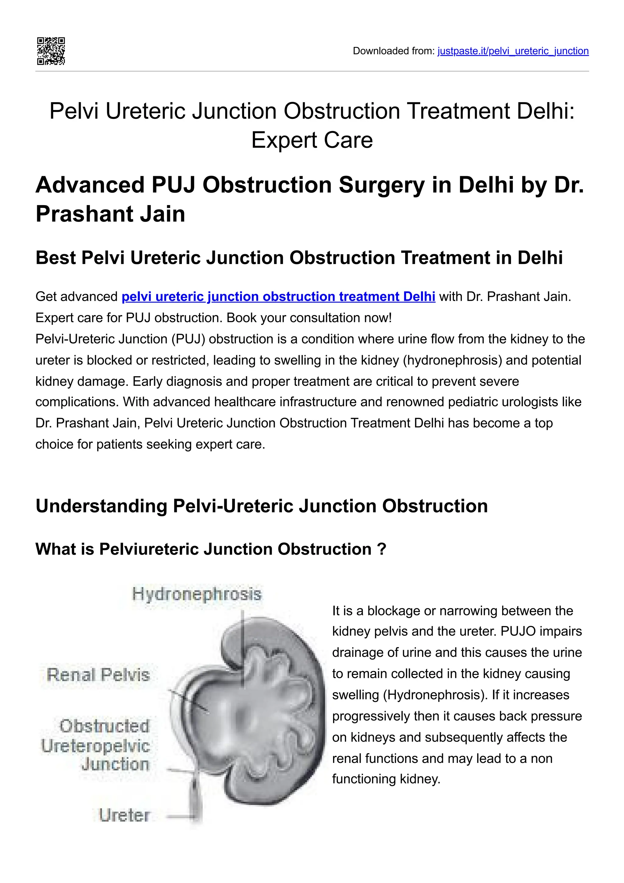 Pelvi Ureteric Junction Obstruction Treatment Delhi: Expert Care | PDF