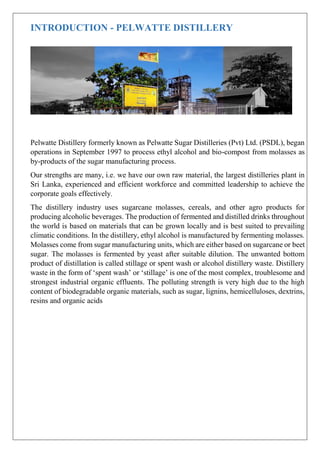 Pelwatte distillery | PDF