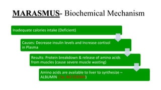 Protein Energy Malnutrition (PEM) | PPTX