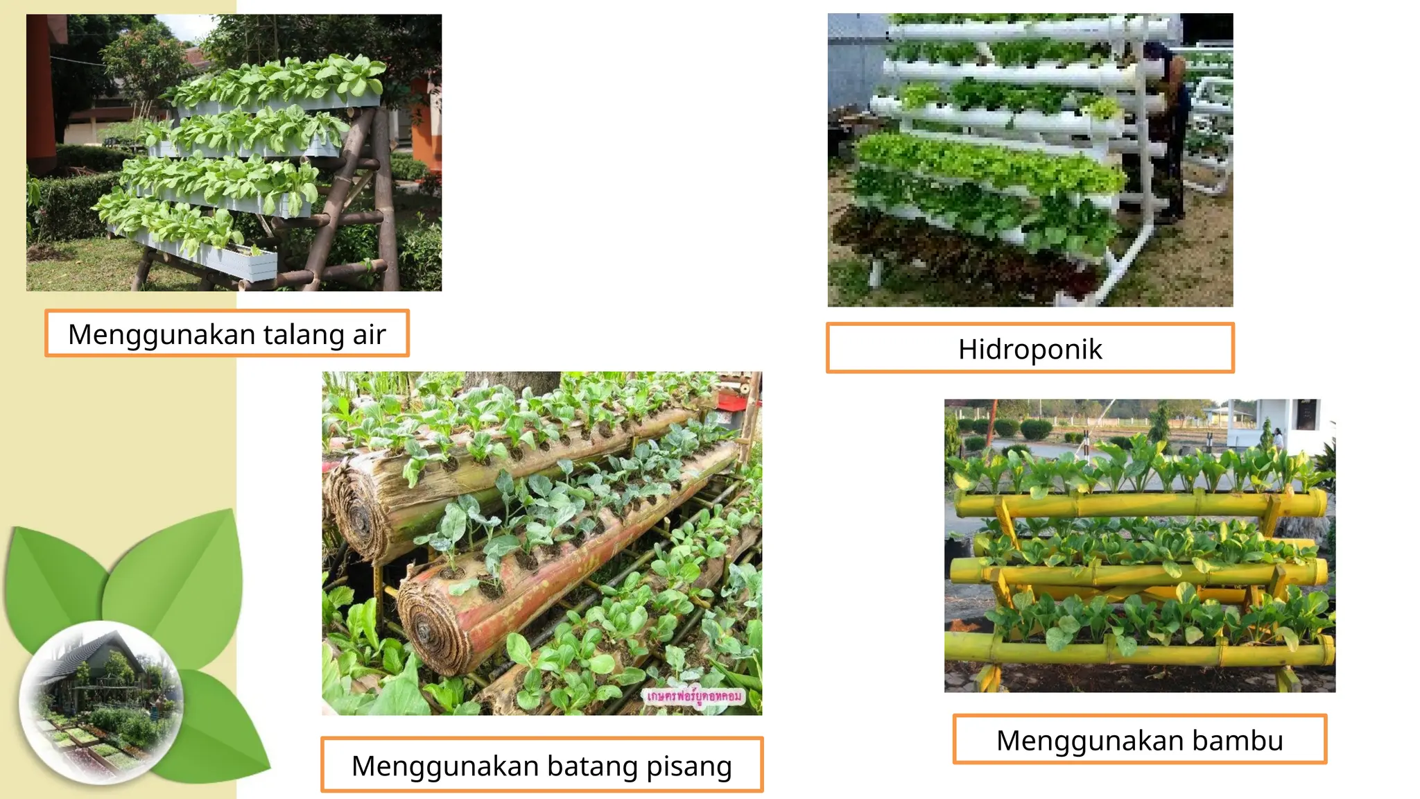 pemanfaatan-lahan-pekarangan rumah kita.pptx