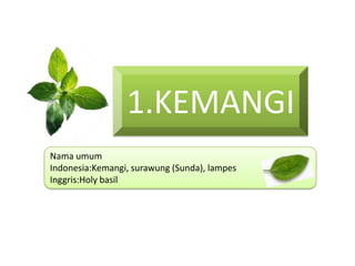Pemanfaatan tanamanobatkeluargatoga | PPTX