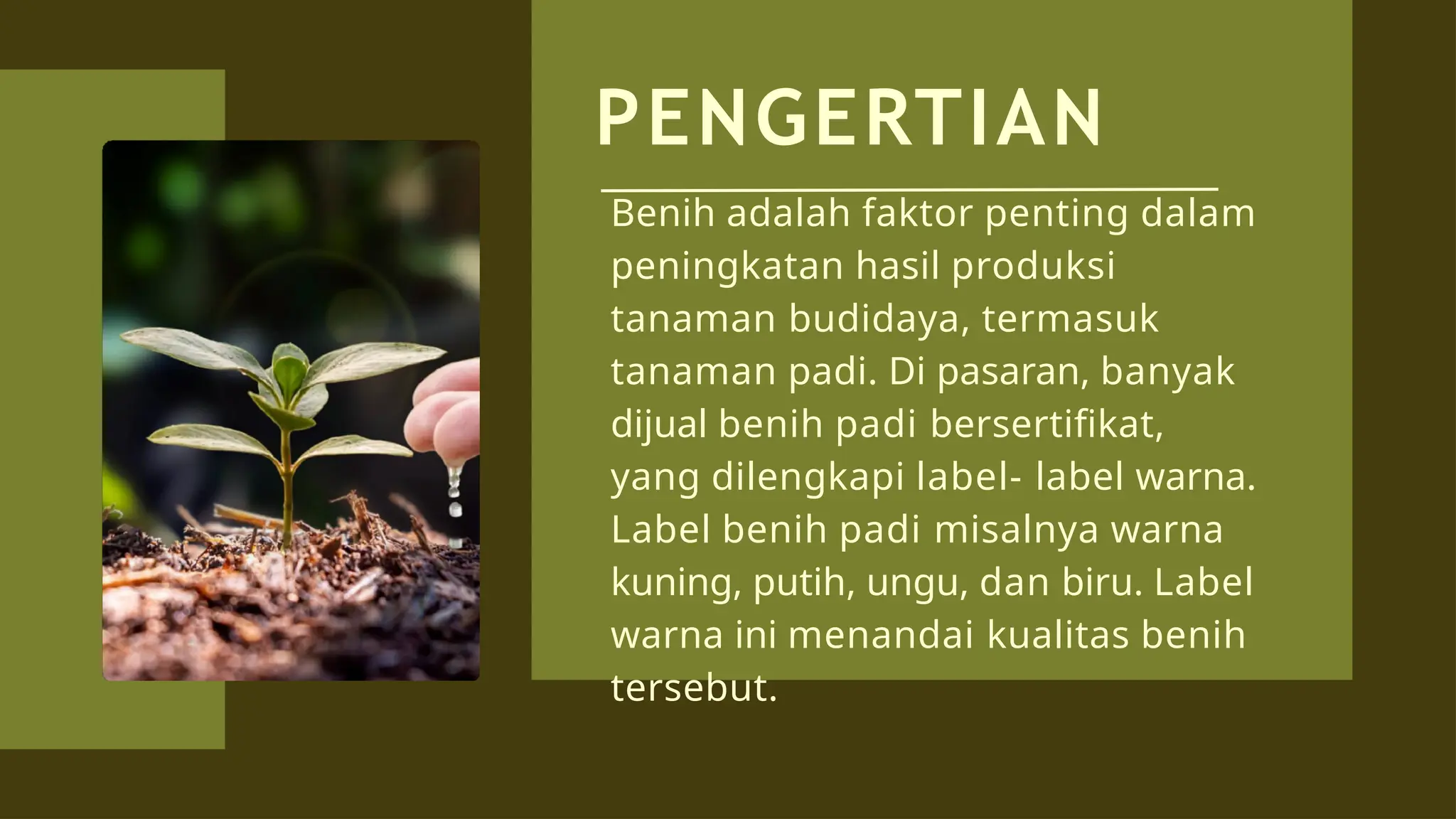 pemanfaatan benih unggul bersertifikat (1).pptx