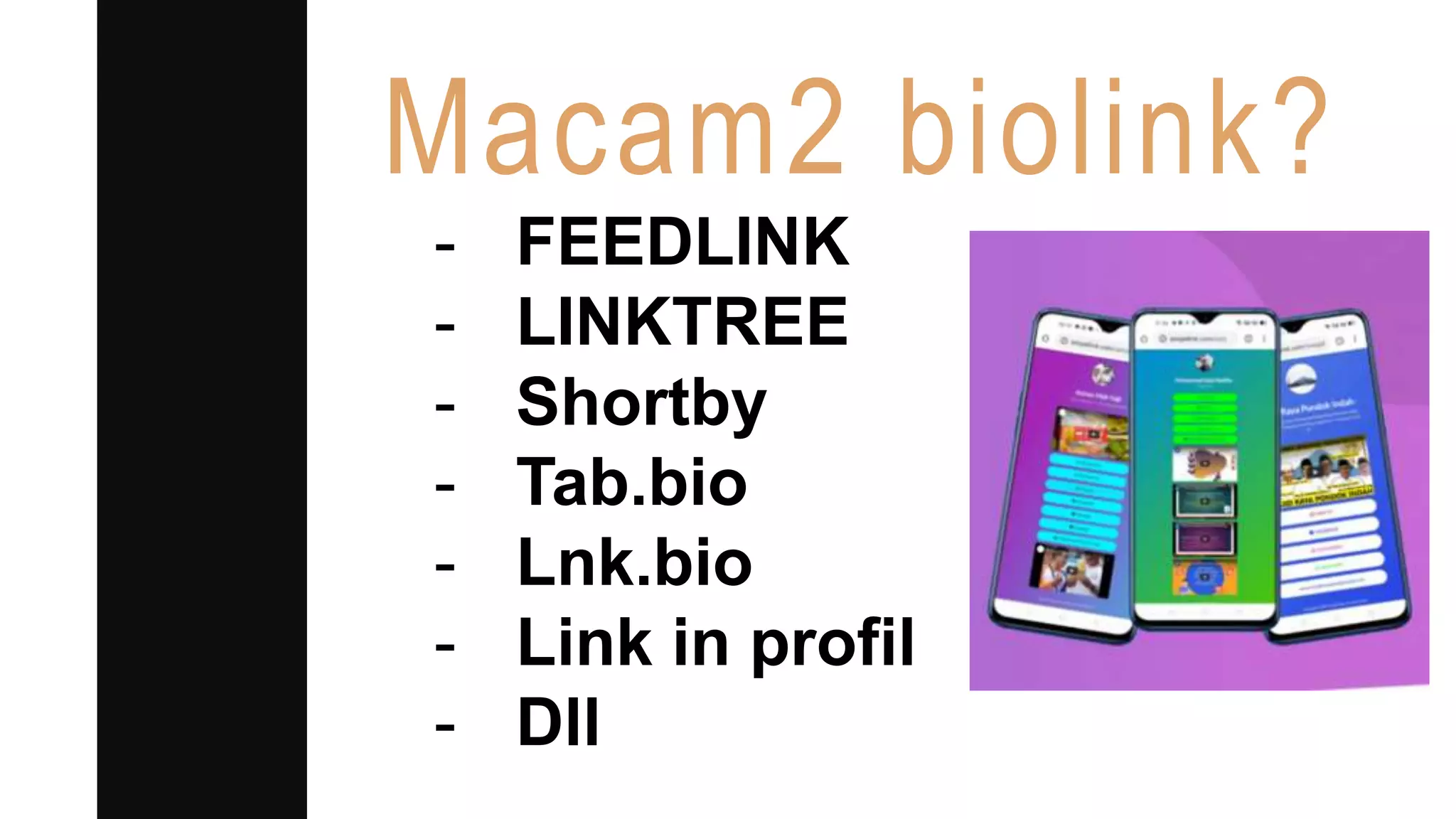 Pemanfaatan BIOLINK.pptx