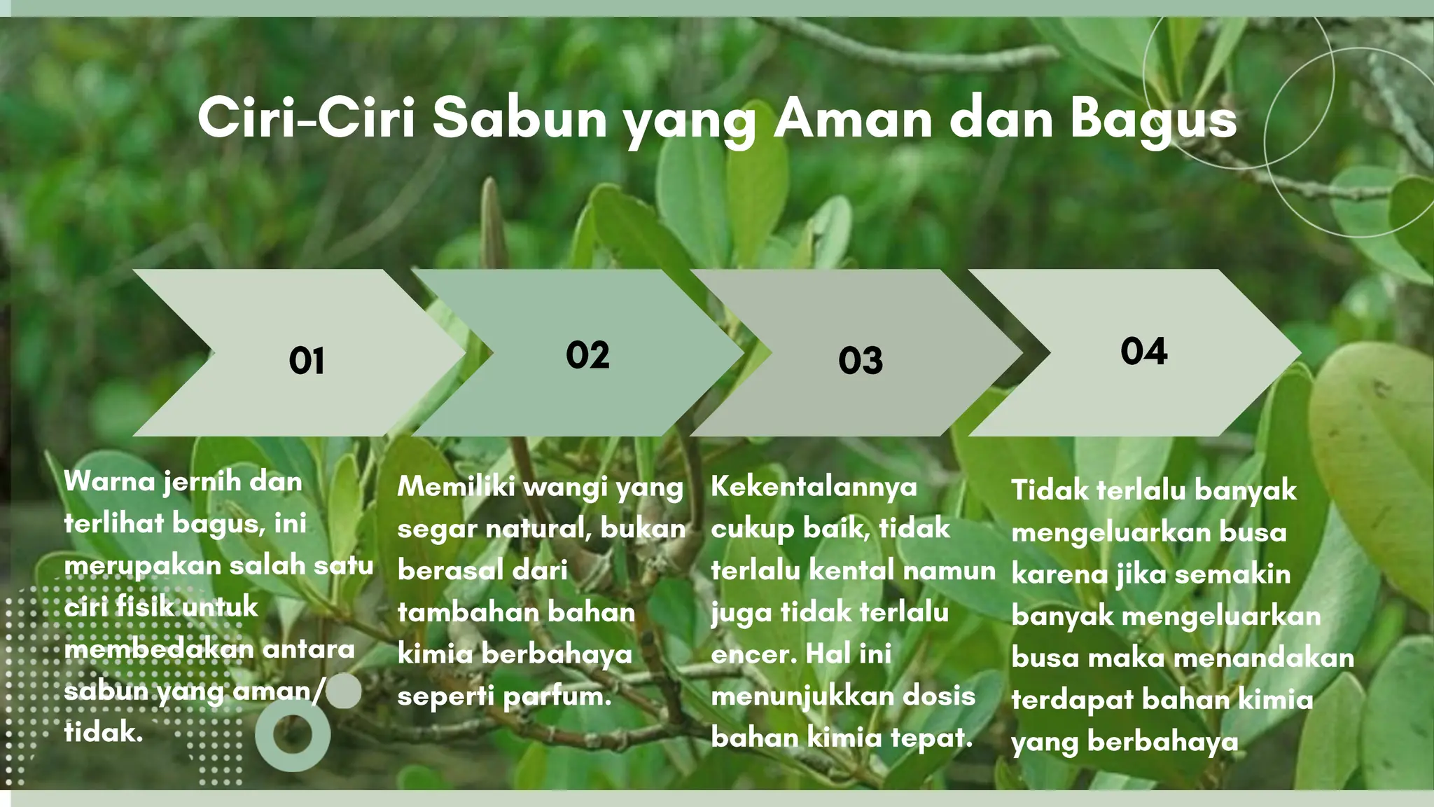 Pemanfaatan Daun Mangrove-Kelompok.2.pptx