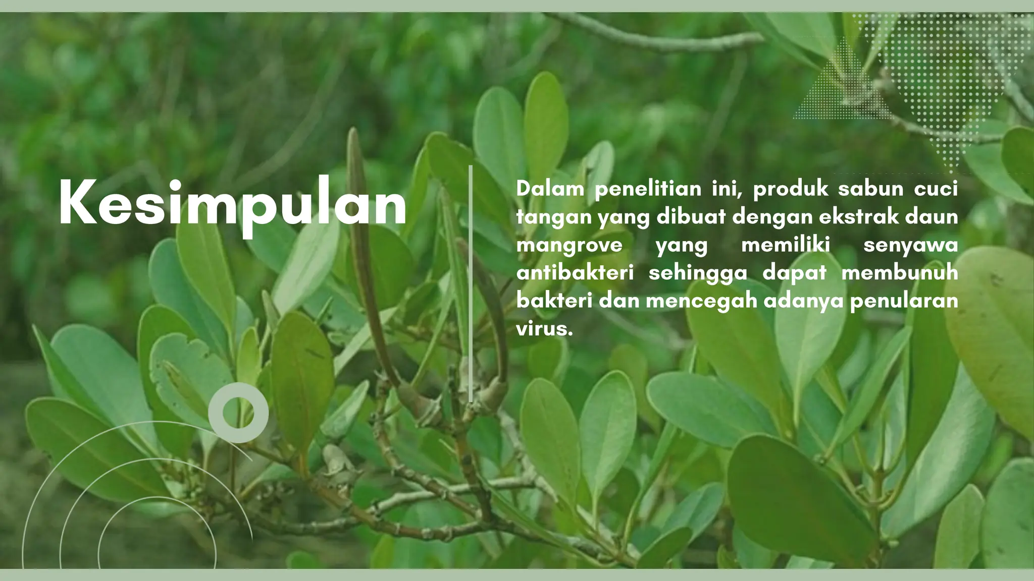 Pemanfaatan Daun Mangrove-Kelompok.2.pptx