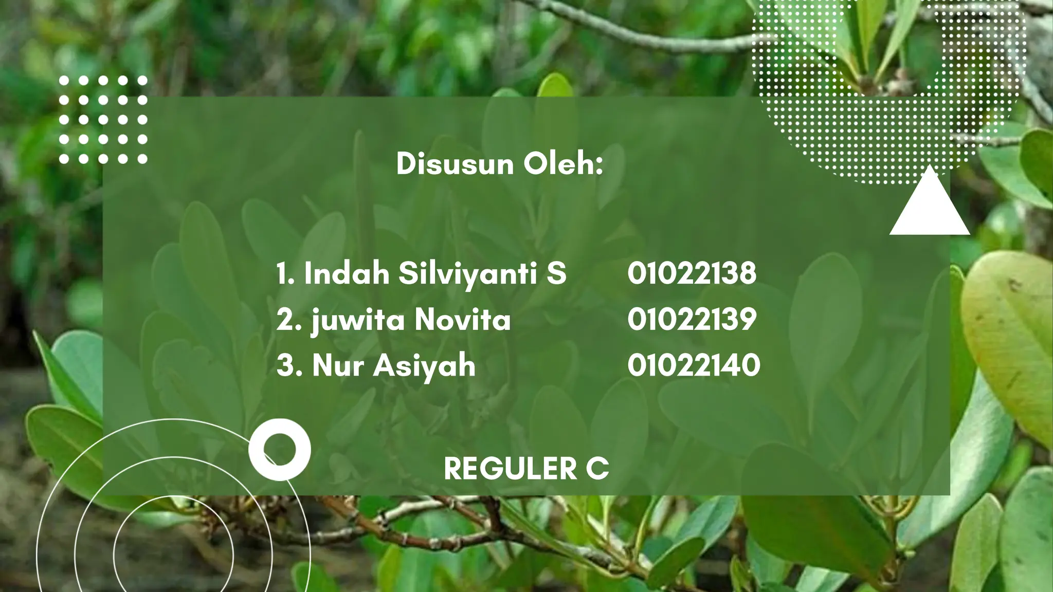 Pemanfaatan Daun Mangrove-Kelompok.2.pptx