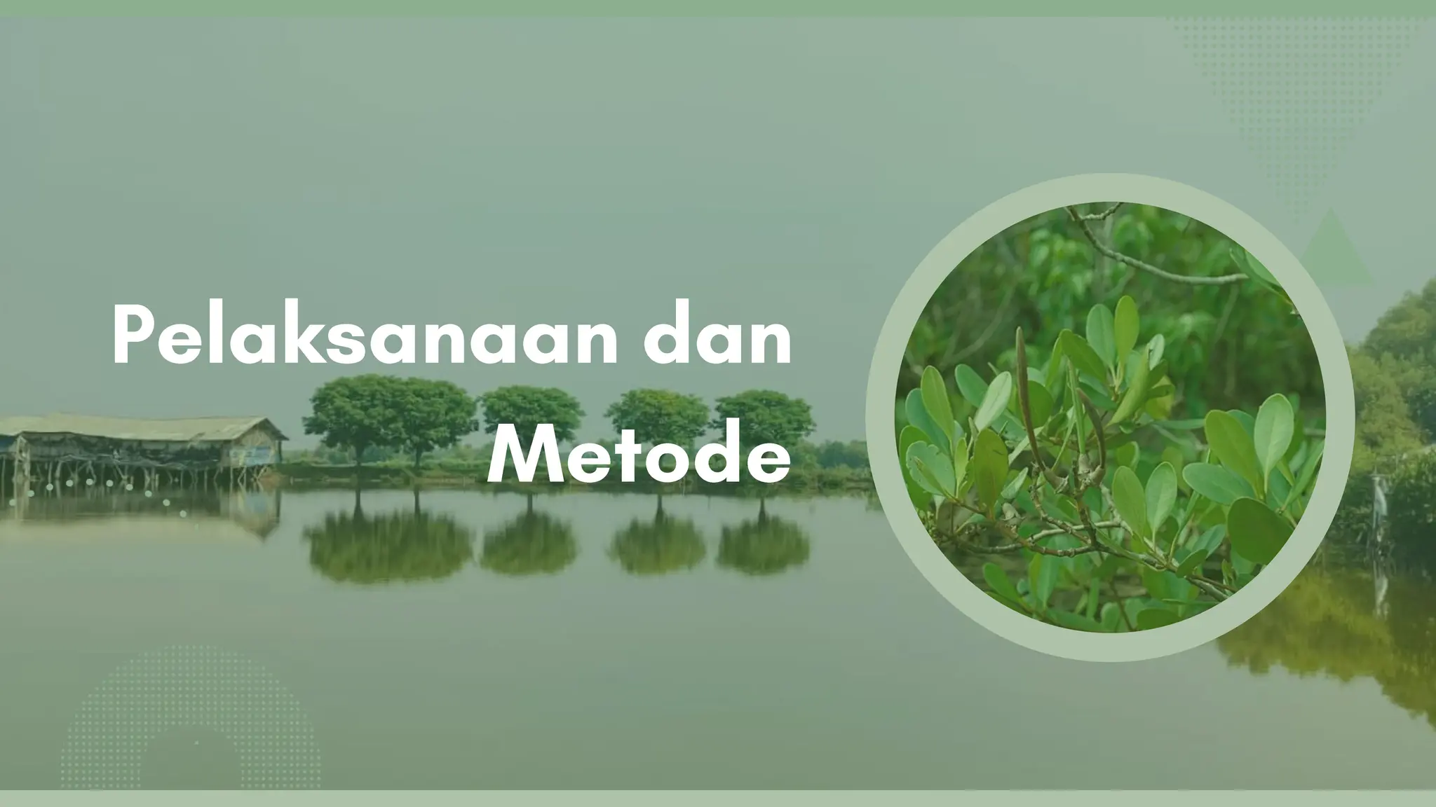 Pemanfaatan Daun Mangrove-Kelompok.2.pptx