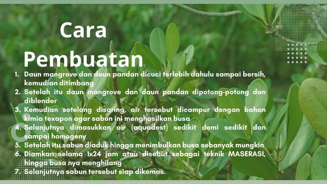 Pemanfaatan Daun Mangrove-Kelompok.2.pptx