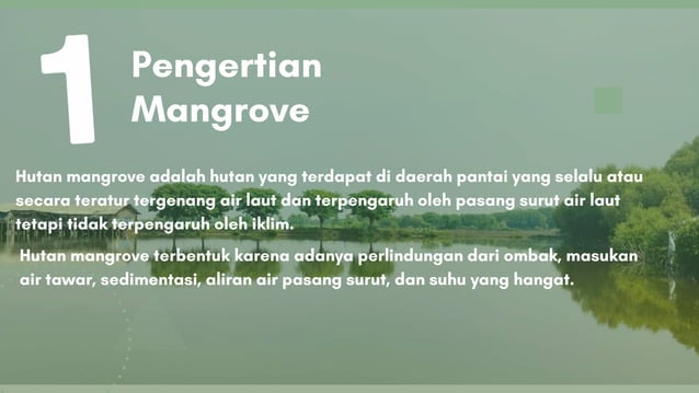 Pemanfaatan Daun Mangrove-Kelompok.2.pptx