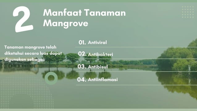 Pemanfaatan Daun Mangrove-Kelompok.2.pptx