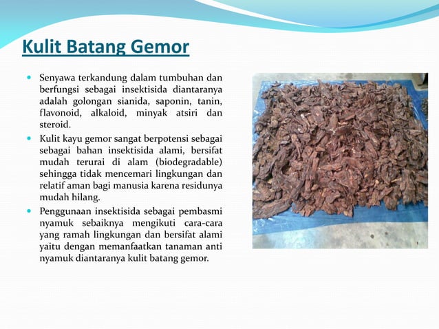 Pemanfaatan kulit batang gemor 2 | PDF