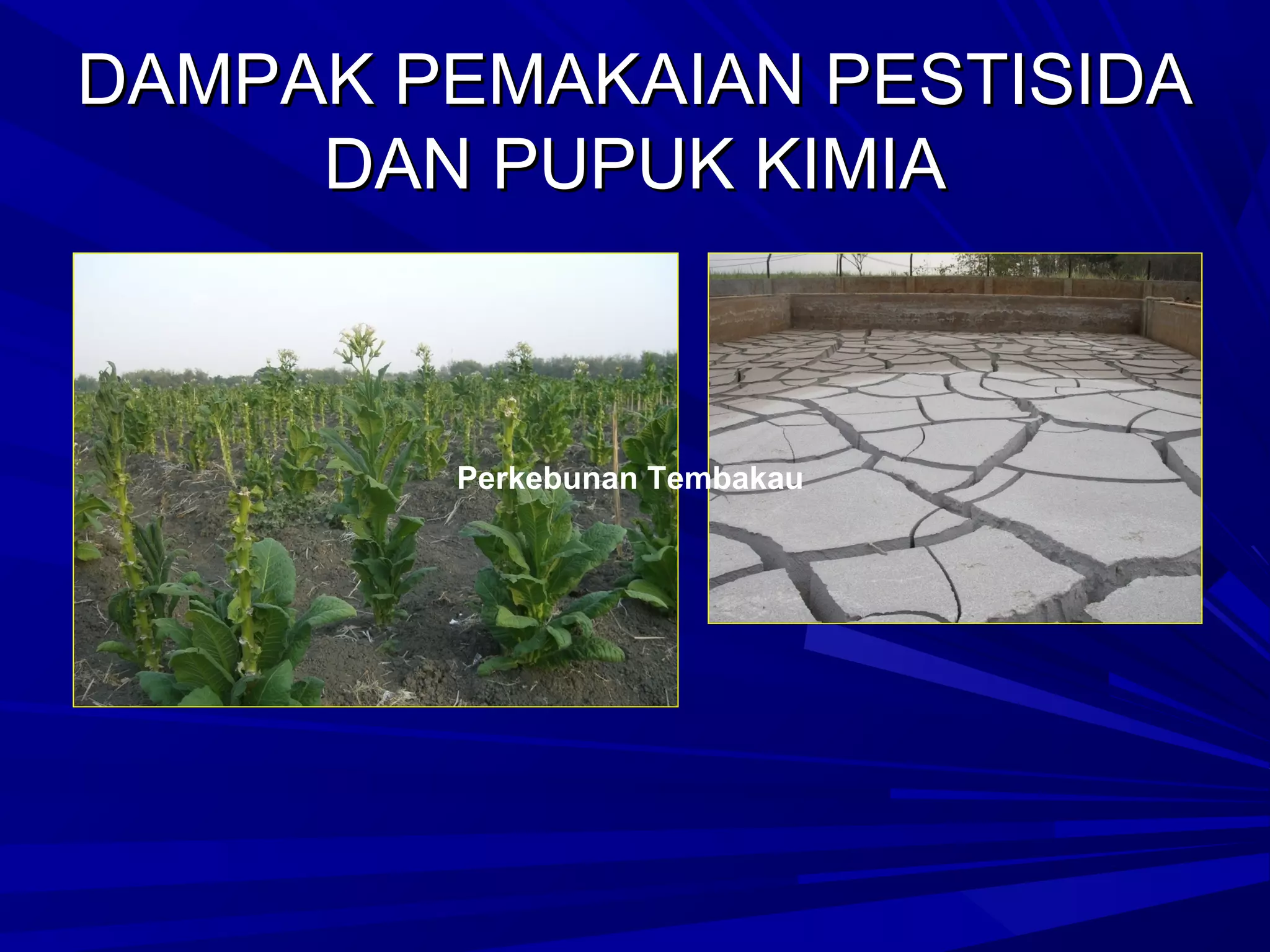 Pemanfaatan Limbah Padat Industri Rokok | PPT