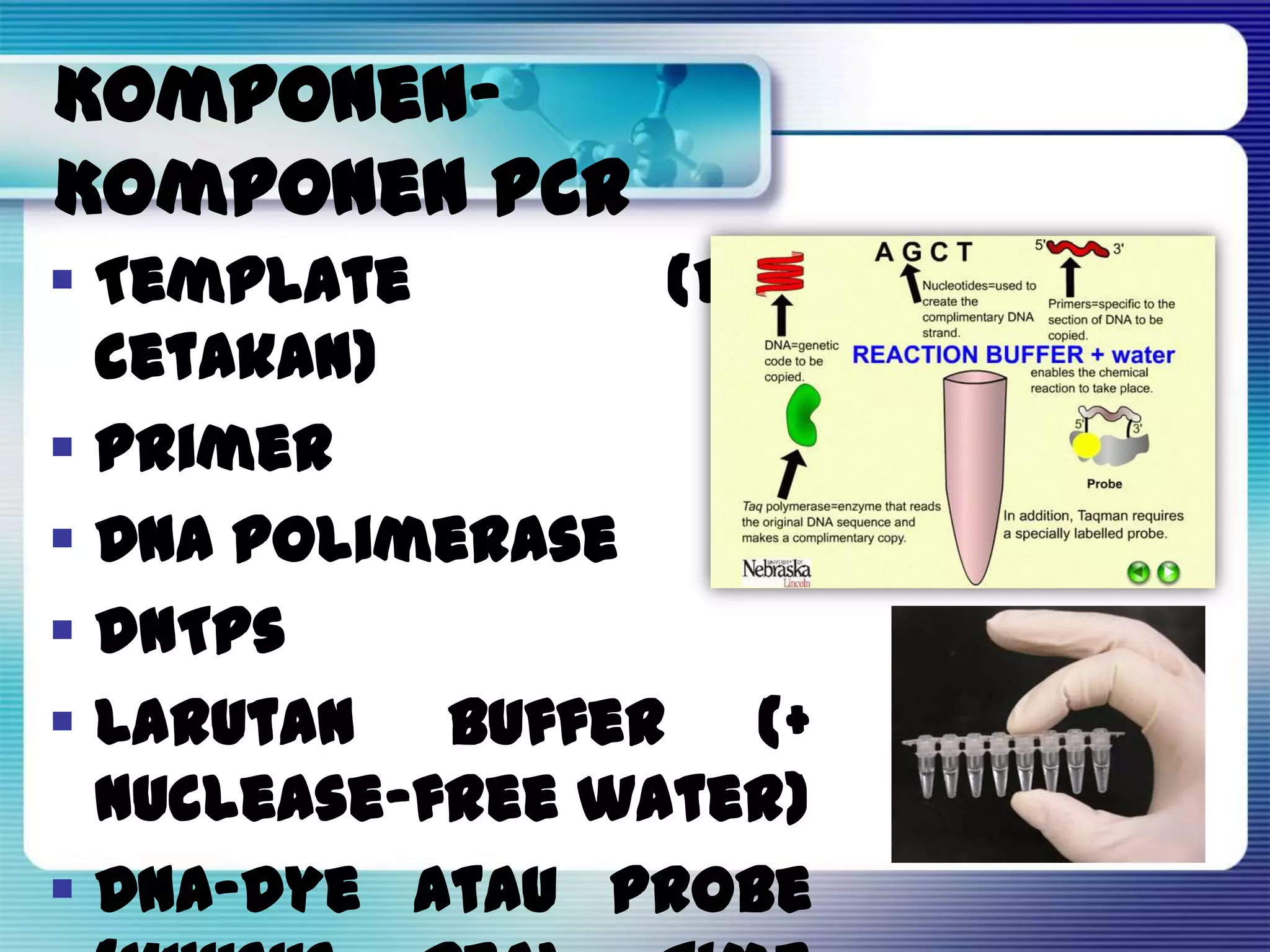 Pemanfaatan pcr dalam diagnosis | PPTX