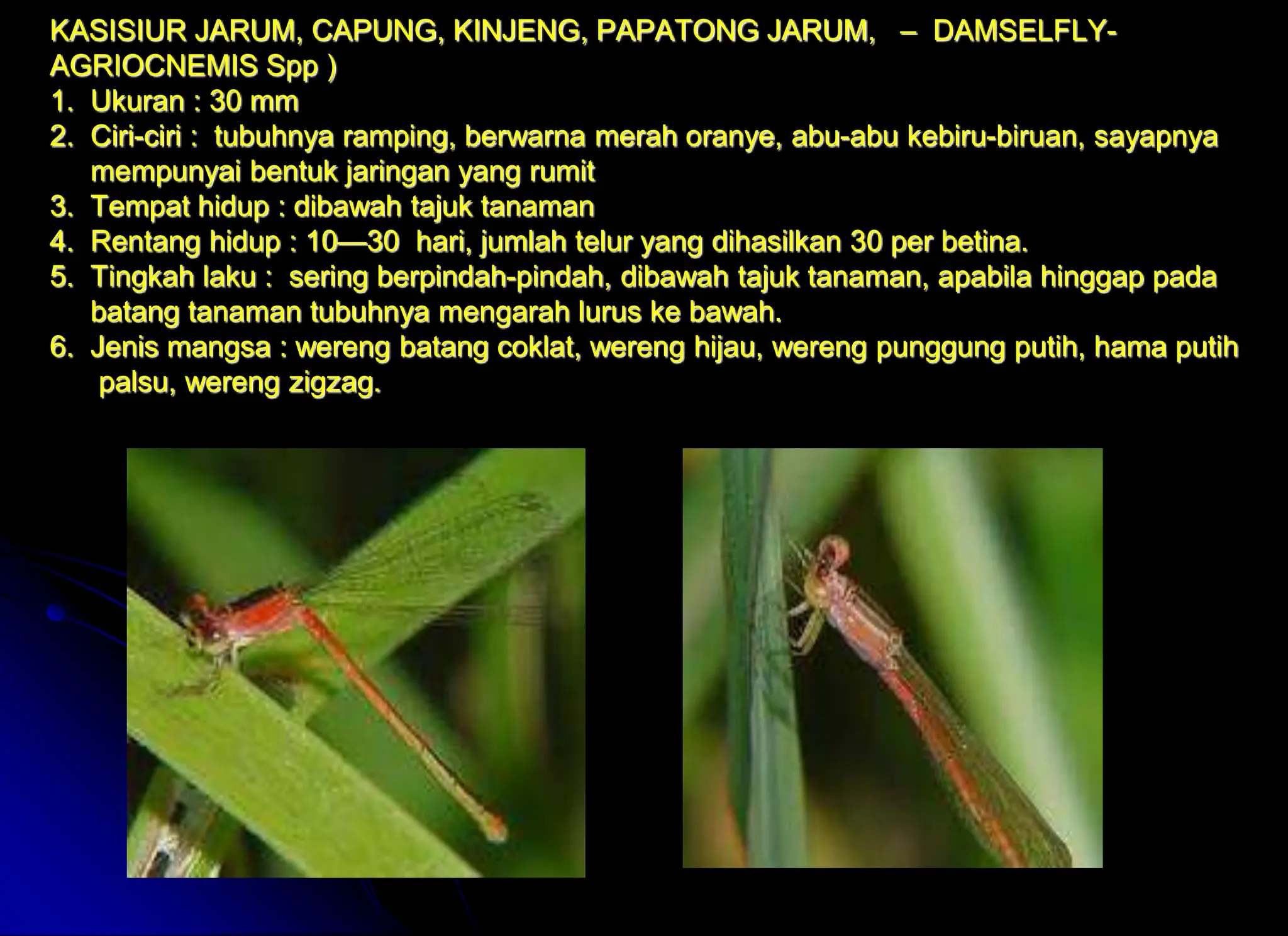 Pemanfaatan Predator dan Parasitoid dalam mengendalikan OPT Tanaman ...