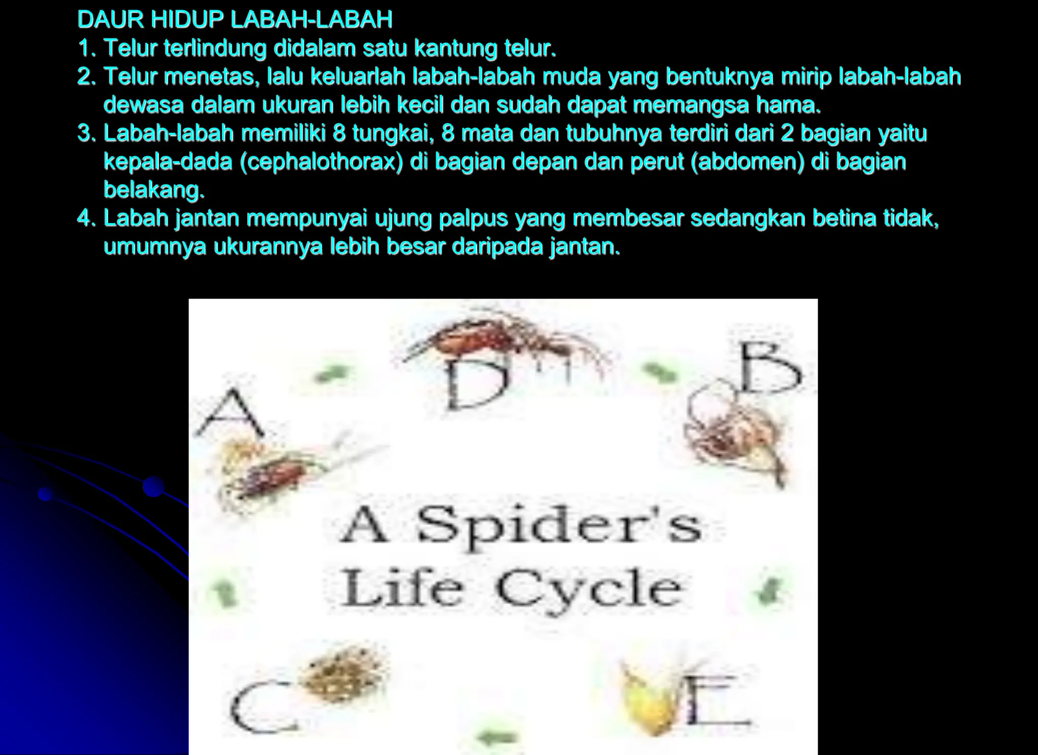 Pemanfaatan Predator dan Parasitoid dalam mengendalikan OPT Tanaman ...