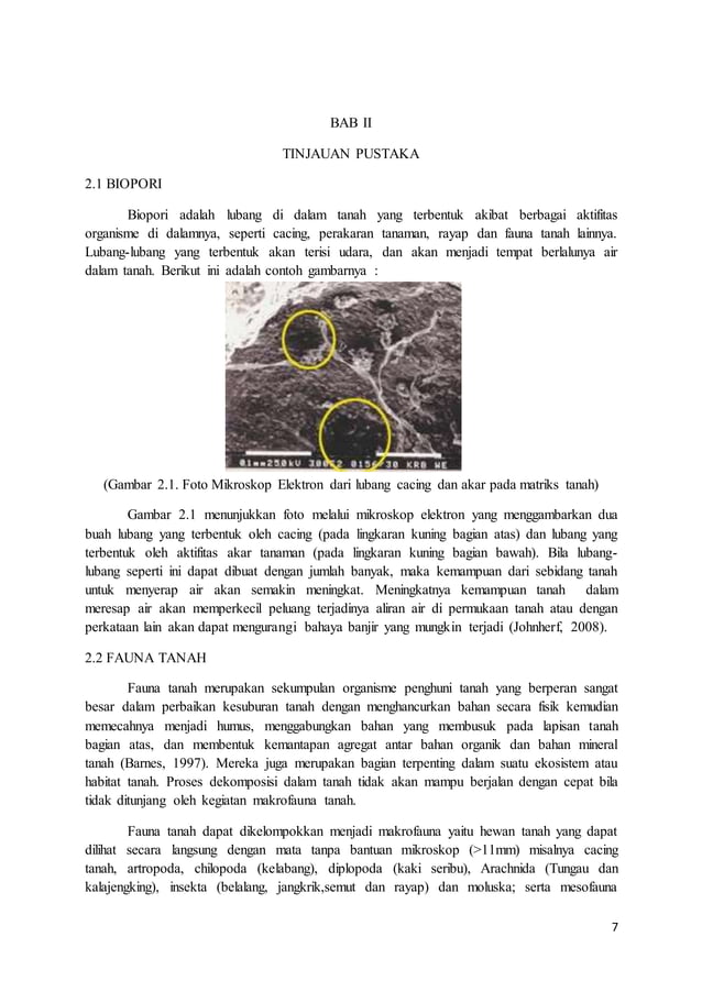 Pemanfaatan Sampah Organik dan Effective Microorganisms dalam Meningkatkan Daya Resap air ...