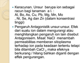 Pemanfaatan siklus mineral | PPTX