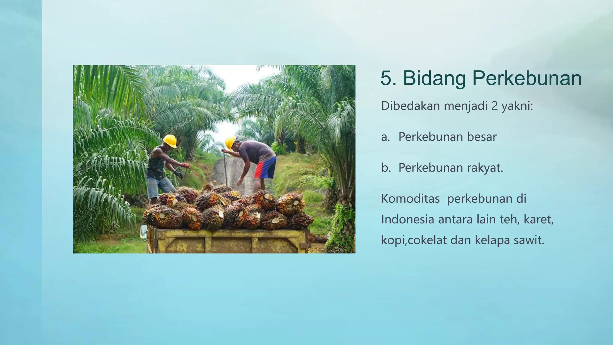 Pemanfaatan Sumber Daya Alam Kelas 4 SDIT | PPTX