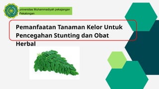 Pemanfaatan Tanaman Kelor Untuk Pencegahan Stunting dan Obat Herbal.pptx