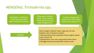 Pemanfaatan Trichoderma sp, Sebagai Agensia Antagonis | PDF