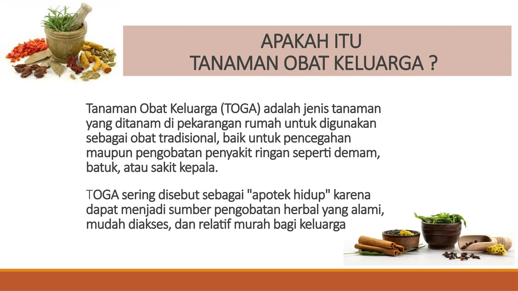 PEMANFAATN TANAMAN OBAT KELUARGA TOGA.pptx