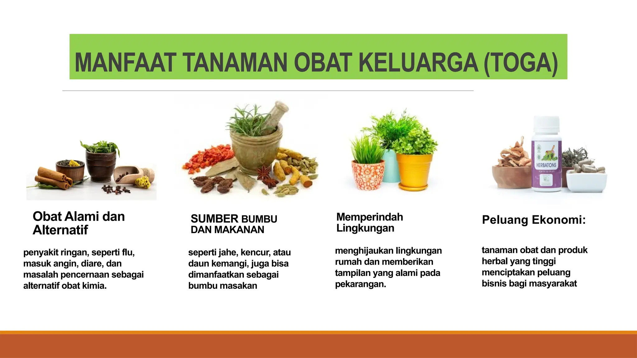 PEMANFAATN TANAMAN OBAT KELUARGA TOGA.pptx