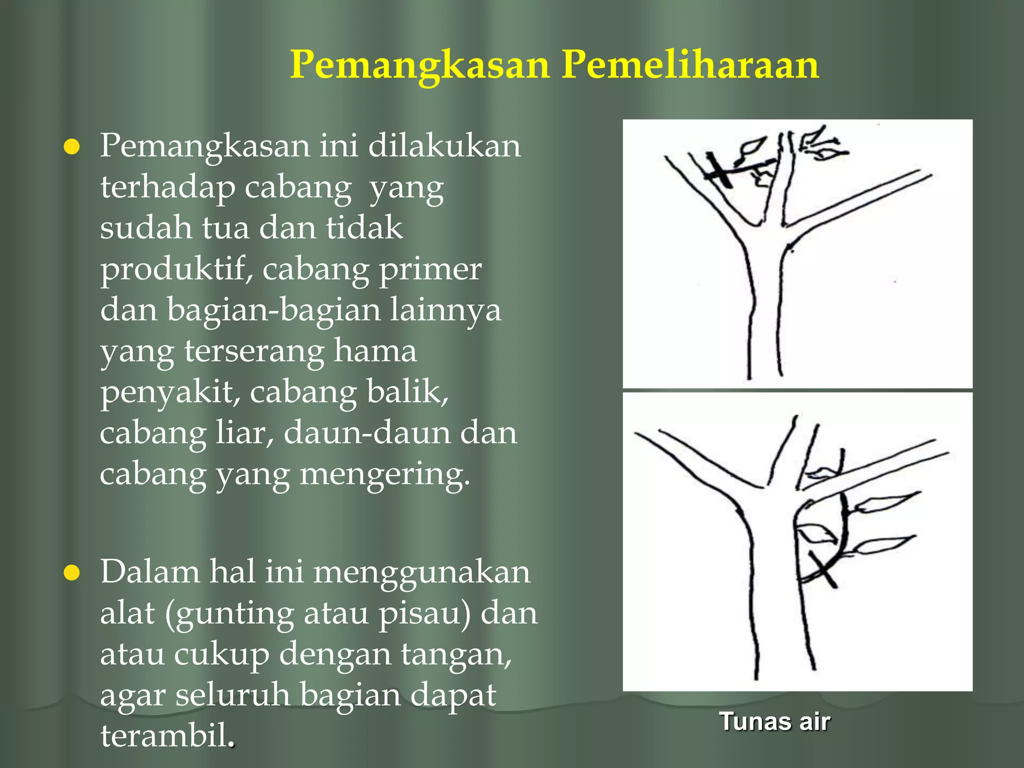 PEMANGKASAN 1.ppt