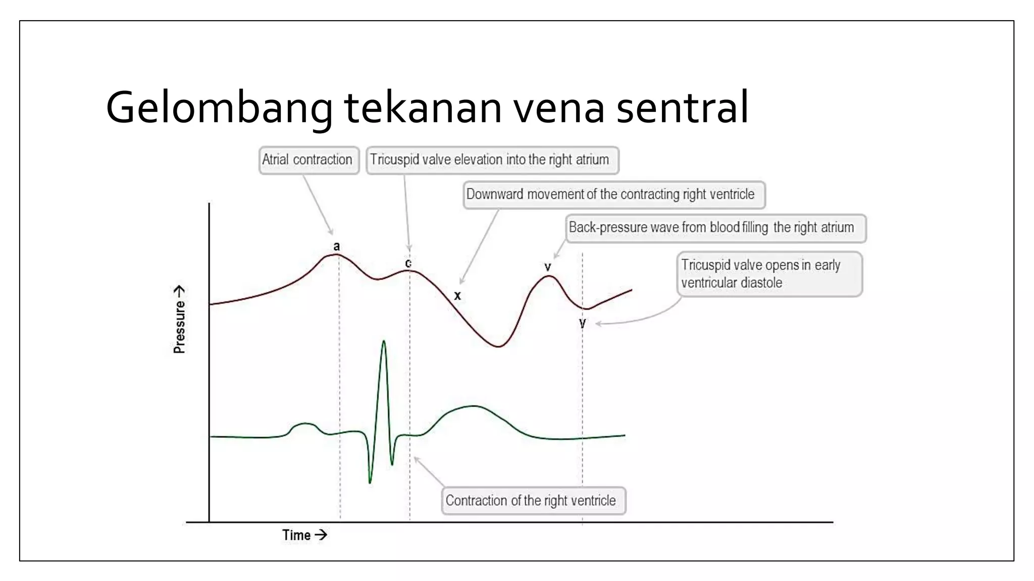 Pemantauan Status Hemodinamika.ppt