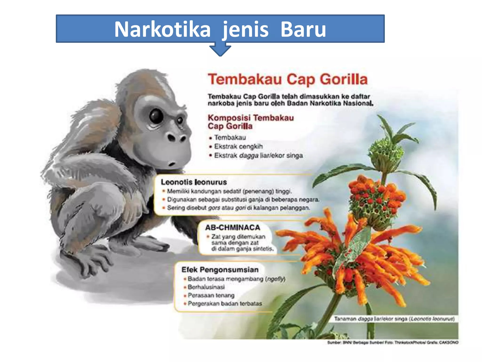 PEMAPARAN EDUKASI SERENTAK.ppt