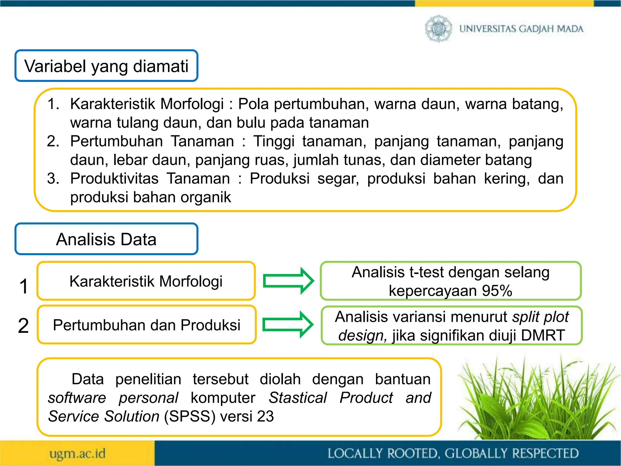 Karakteristik Morfologi, Pertumbuhan dan produktivitas Rumput Gajah ...