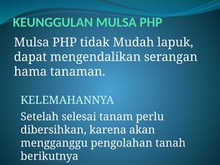 Teknik PEMASANGAN MULSA pada lahan pertanian.pptx