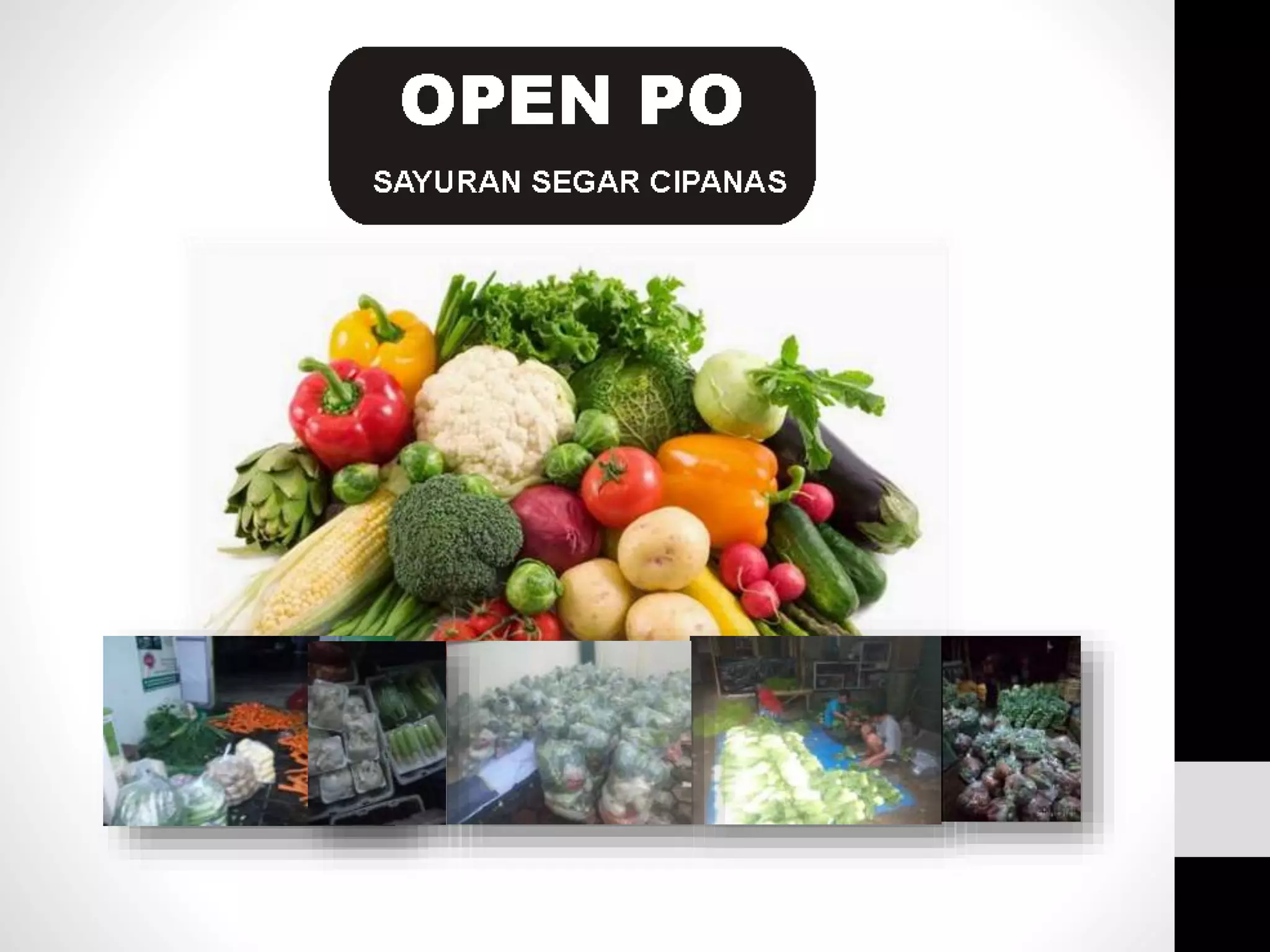 PEMASARAN SAYURAN METODE JARINGAN | PPTX