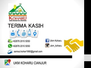 PEMASARAN SAYURAN METODE JARINGAN | PPTX