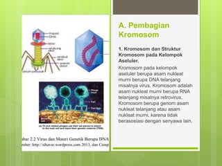 PEMBAGIAN KROMOSOM DAN HUBUNGAN KROMOSOM DAN GEN-Mutia Taradita ...