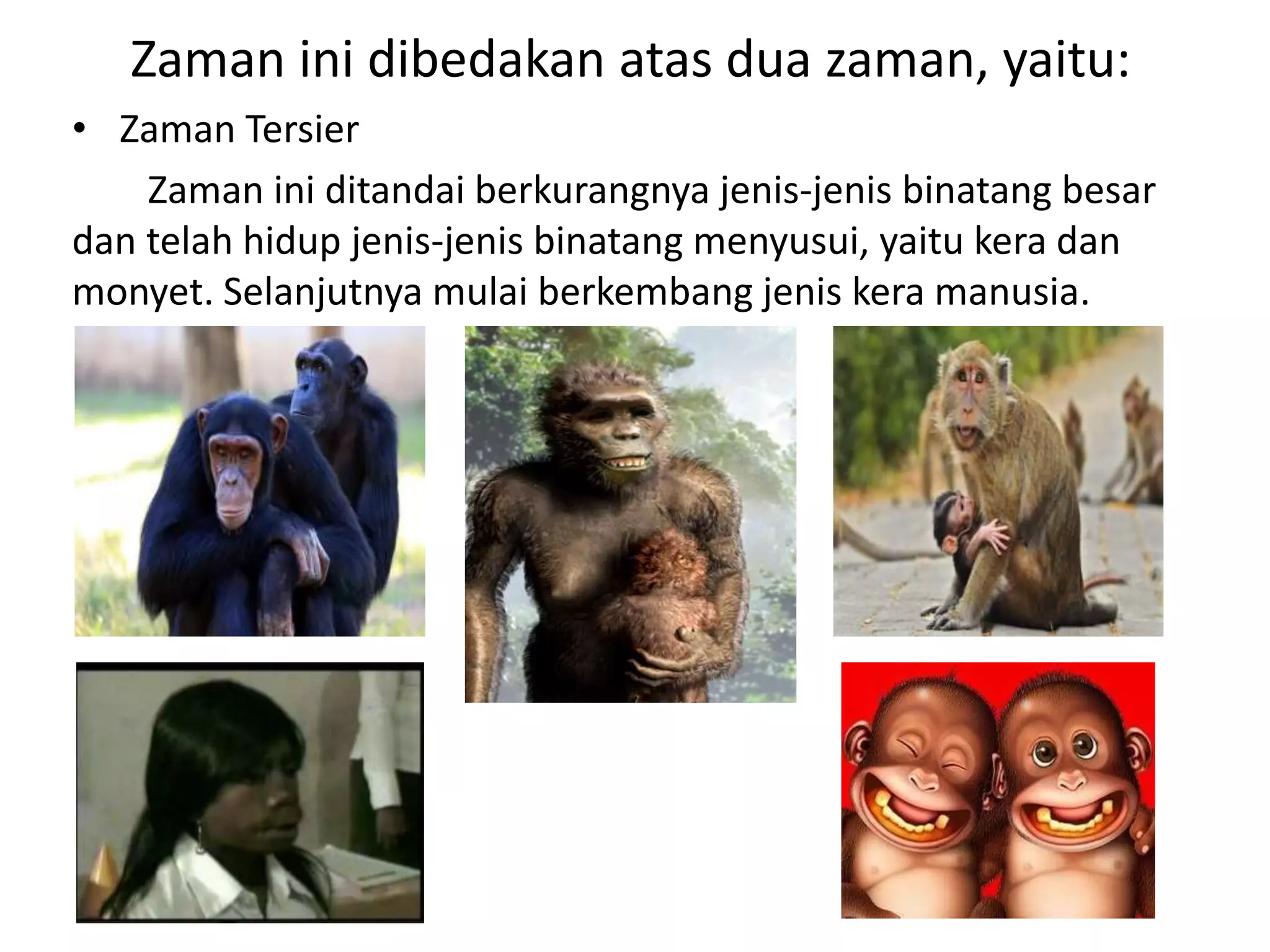 Pembagian Zaman Pra Aksara dan Ciri-Cirinya | PPTX