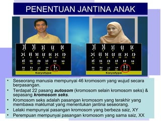 Pembahagian sel modul 2 sem 2 kv | PPT